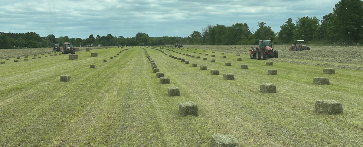 Products – Sweet Grass Farms
