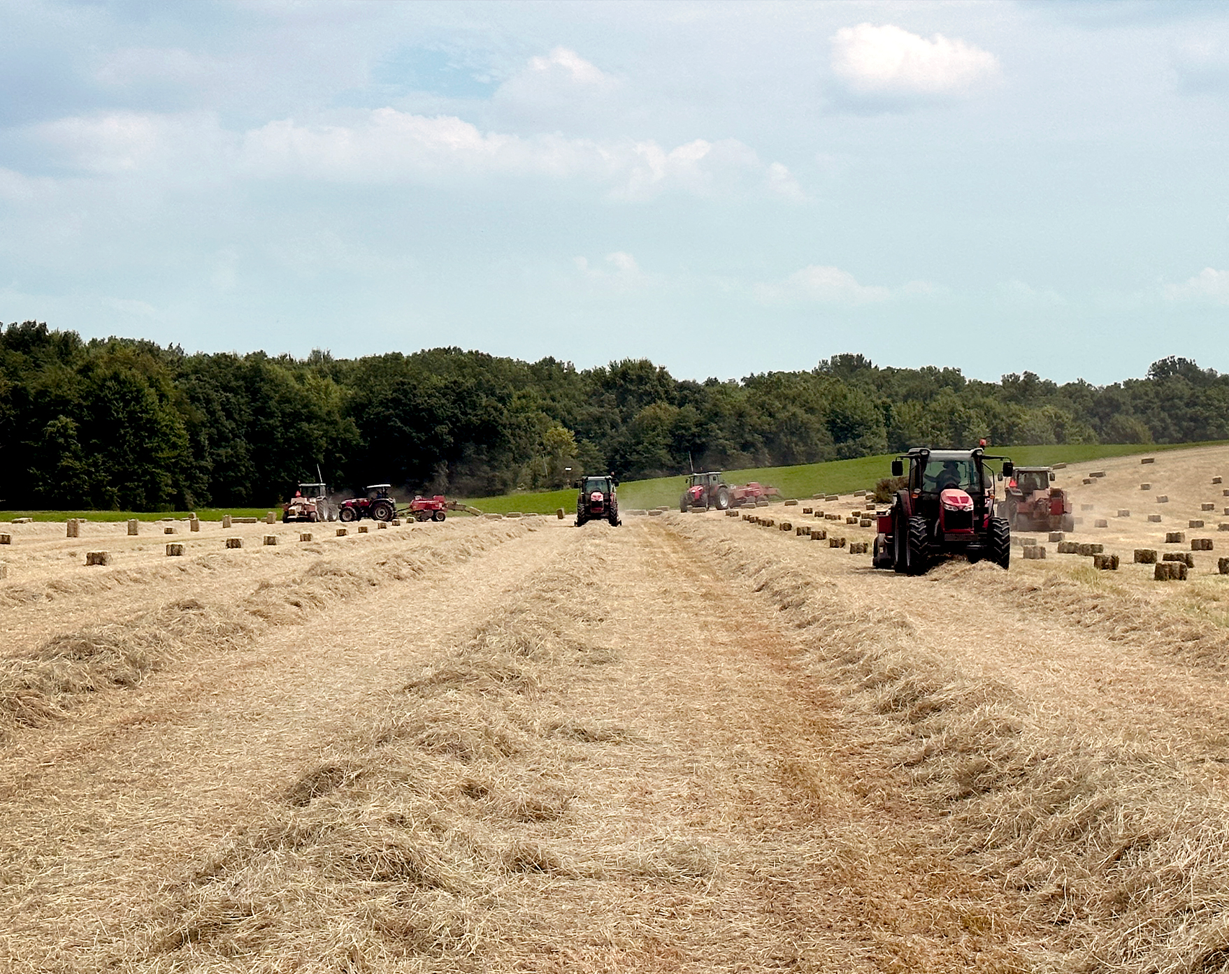 Other Products – Sweet Grass Farms