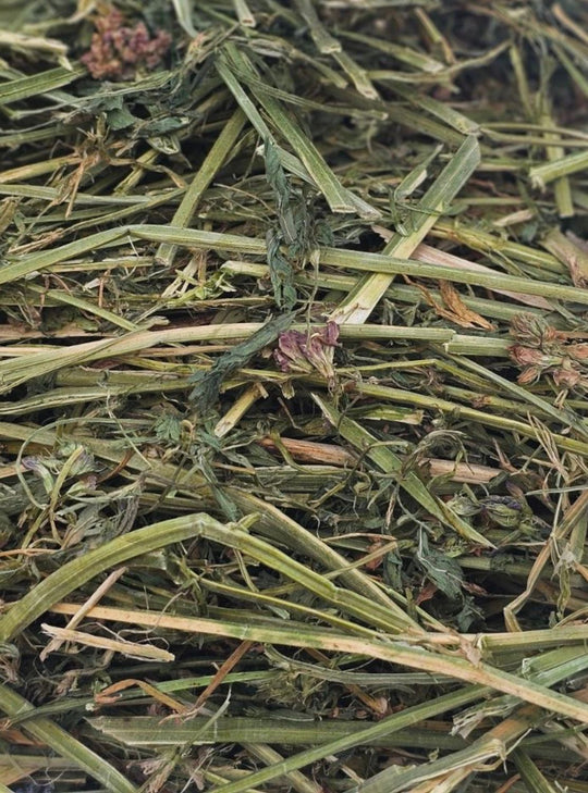 Performance Horse Hay – Sweet Grass Farms