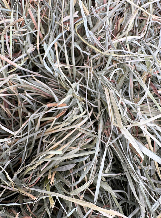 Performance Horse Hay – Sweet Grass Farms
