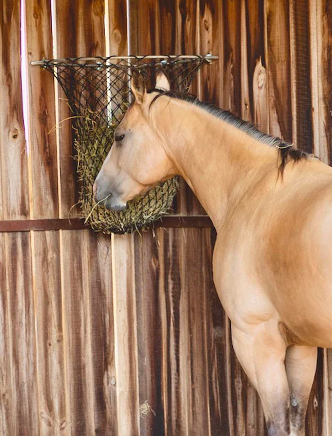 Hay Chix® Hay Rack (Full Bale) Hay Net – Sweet Grass Farms